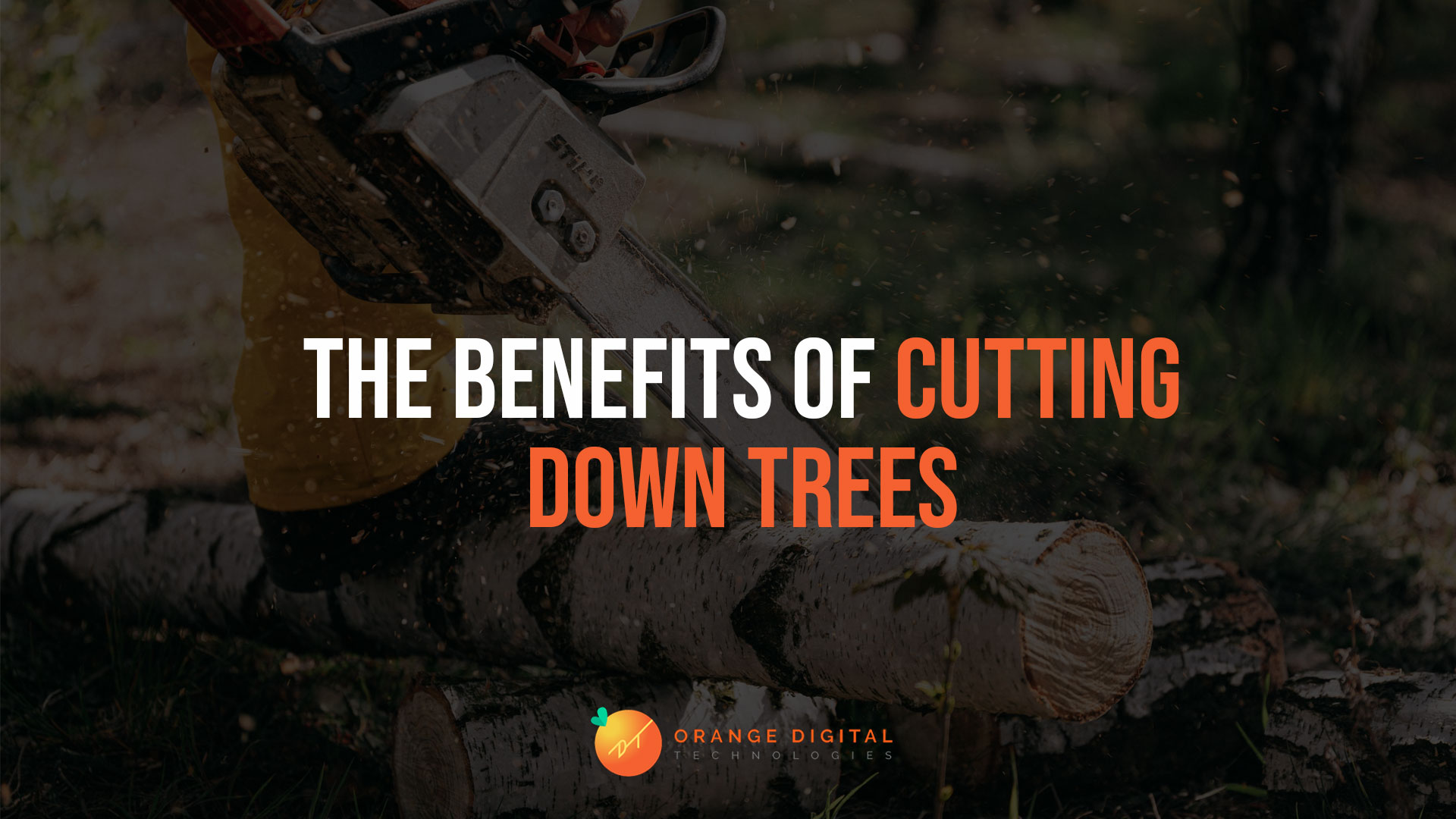 The Benefits of Cutting Down Trees - Nina Wilde