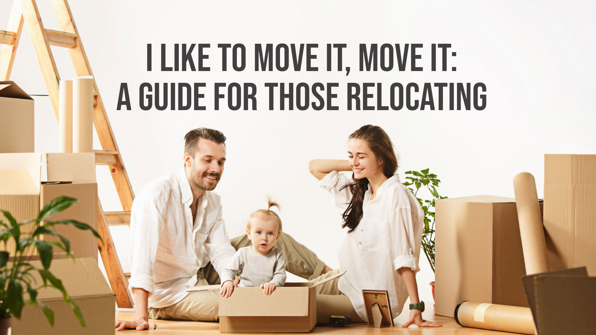 I Like to Move it, Move It: A Guide for those Relocating - Nina Wilde